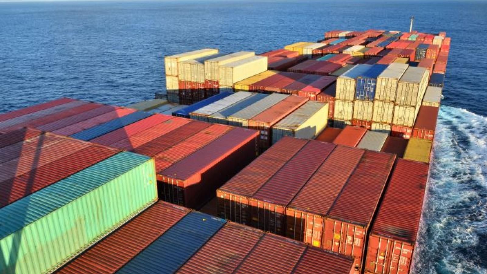 Ocean carriers showing signs of resilience despite freight rate … - TransLogistics
