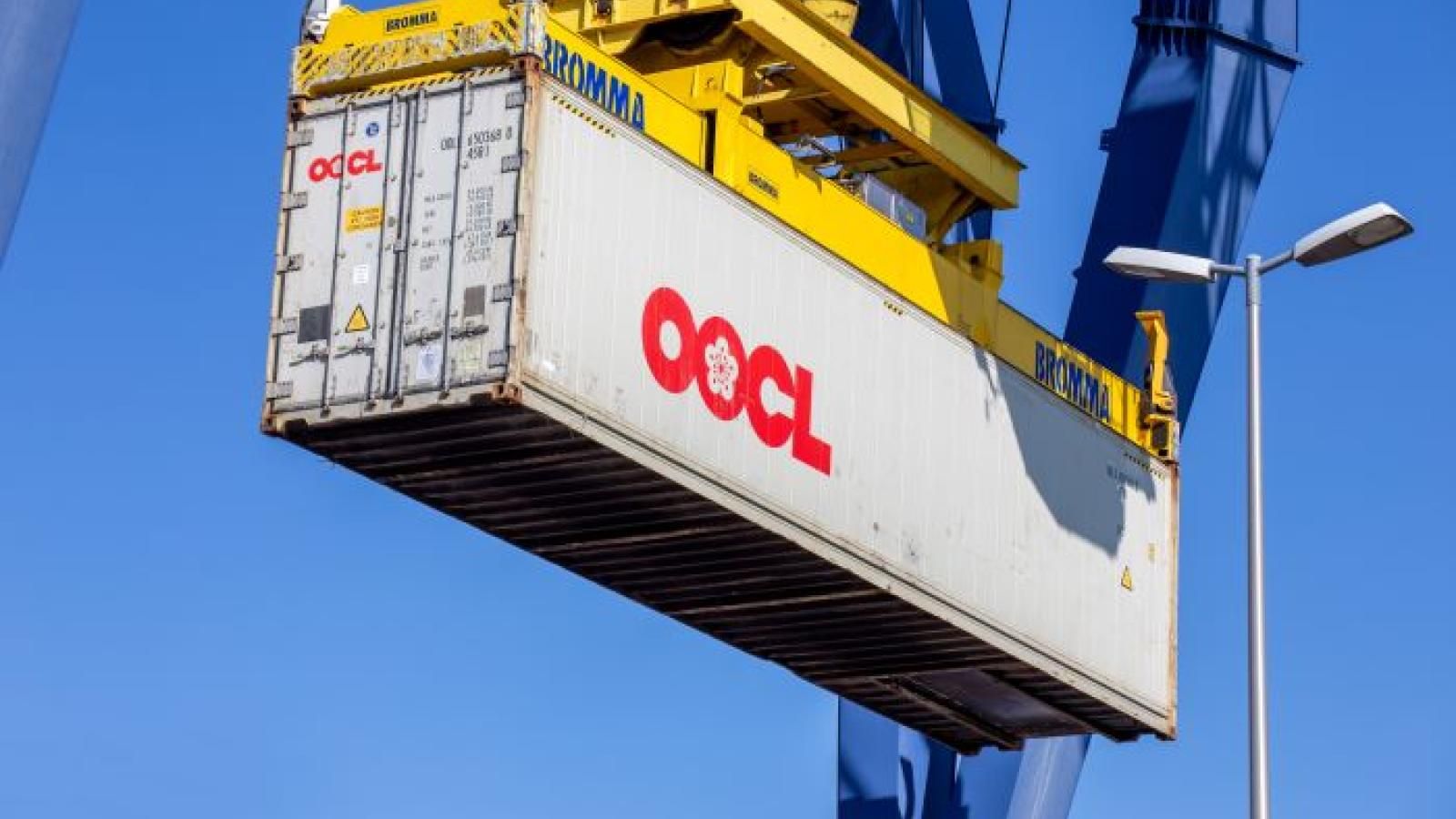 OOCL Q1 revenue plunges in early sign of freight rate collapse ...