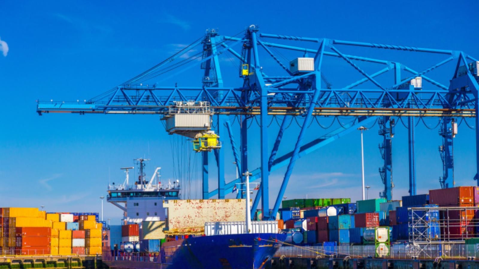 Rotterdam Port Container