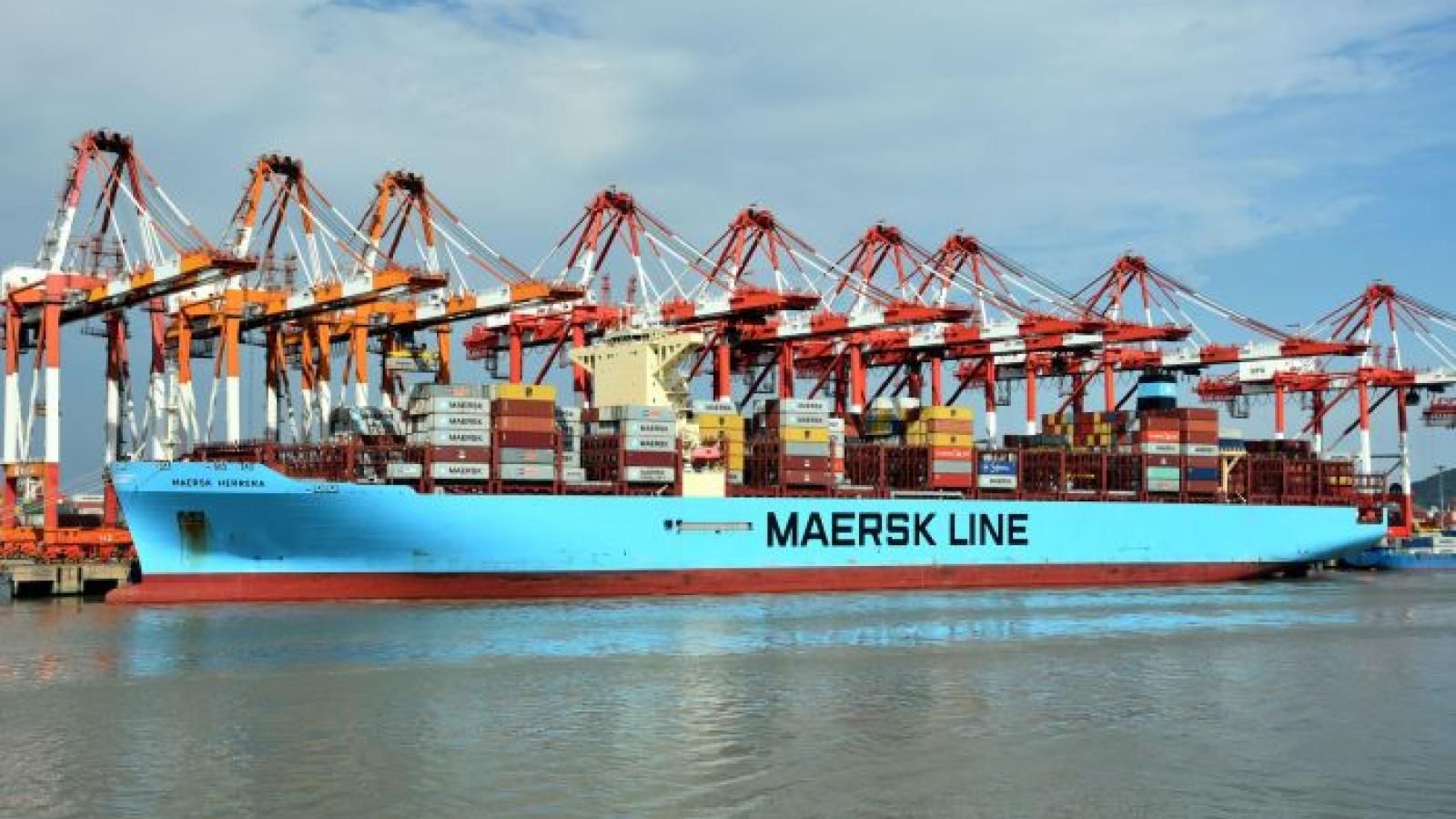 Pilot makes Maersk first foreign carrier to transship in China ...