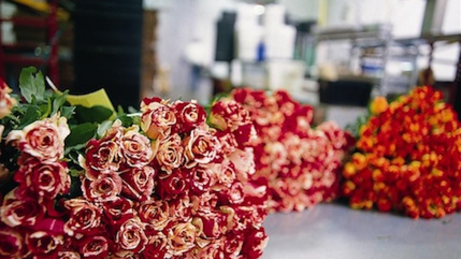 Flower Transportation System | Best Flower Site